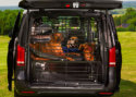 Hundegitter für Ihr Auto – Direkt vom Hersteller | Hundeschutzgitter ...