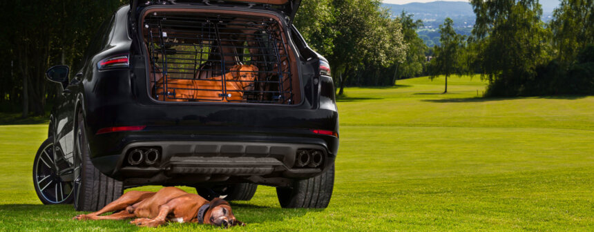 Hundegitter für Ihr Auto – Direkt vom Hersteller | Hundeschutzgitter ...