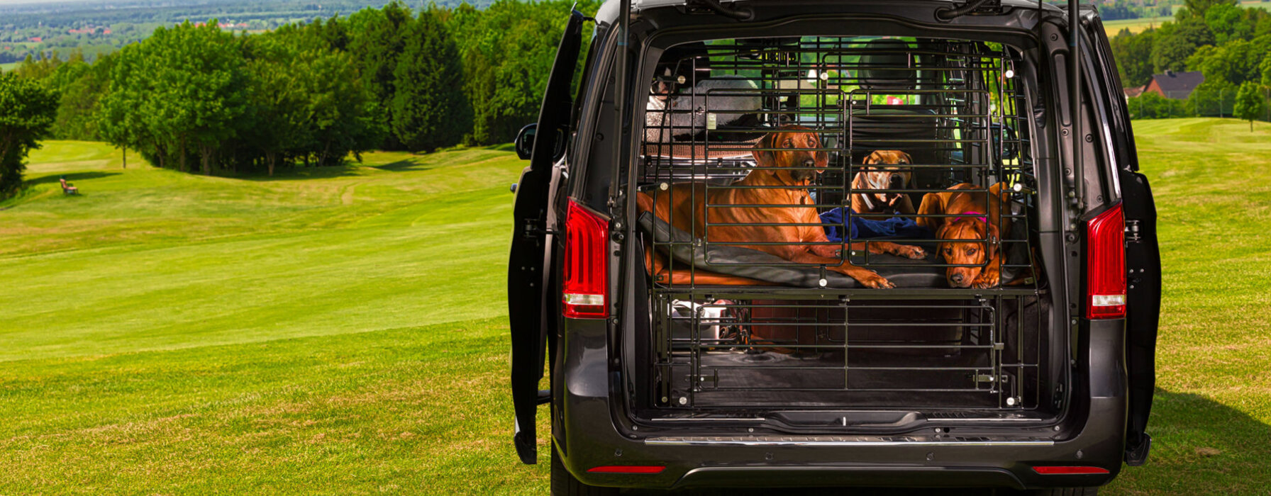 Hundegitter für Ihr Auto – Direkt vom Hersteller | Hundeschutzgitter ...